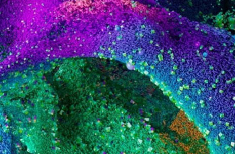 High-performance, efficient compute for AI and ML from HPE and AMD